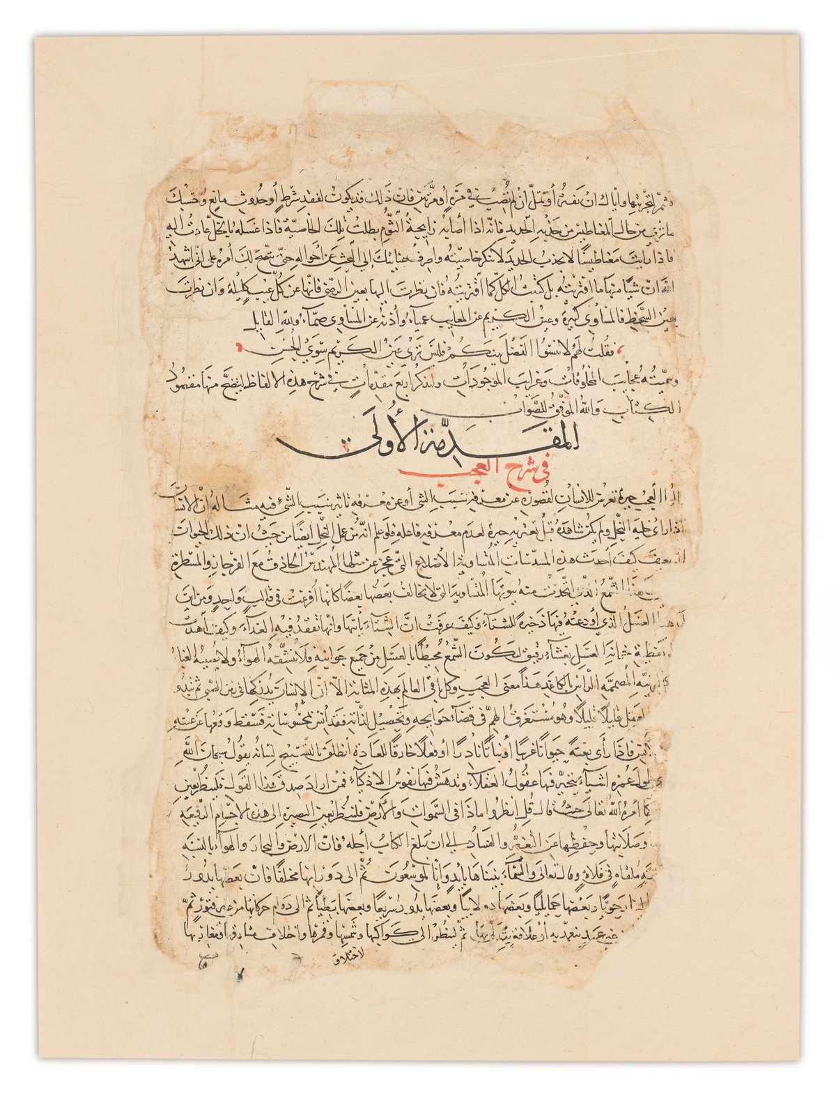 Folio from Aja'ib al-Makhluqat wa Ghara'ib al-Mawjudat (The Wonders of ...